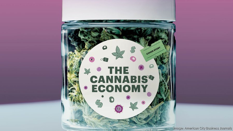 The Cannabis Economy: Mapping an emerging multibillion-dollar industry ...