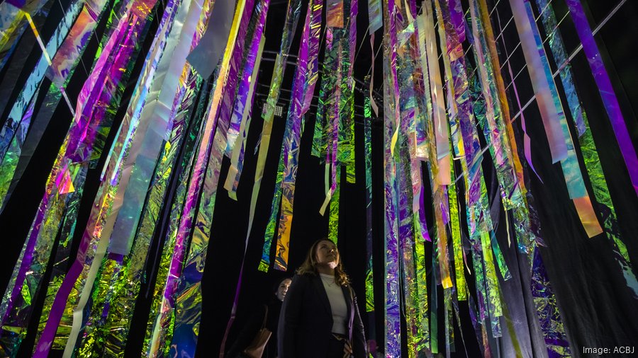 Business, community leaders get preview of 'Beyond Monet' at Wisconsin ...