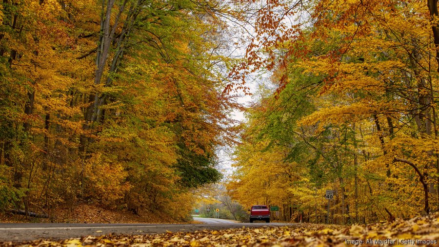 Mark Vittert's Reflections: Long drive leads to beautiful awakening ...