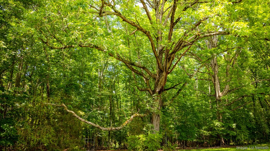 Marrin, new luxury community in Lewisville, will have luxury homes on ...