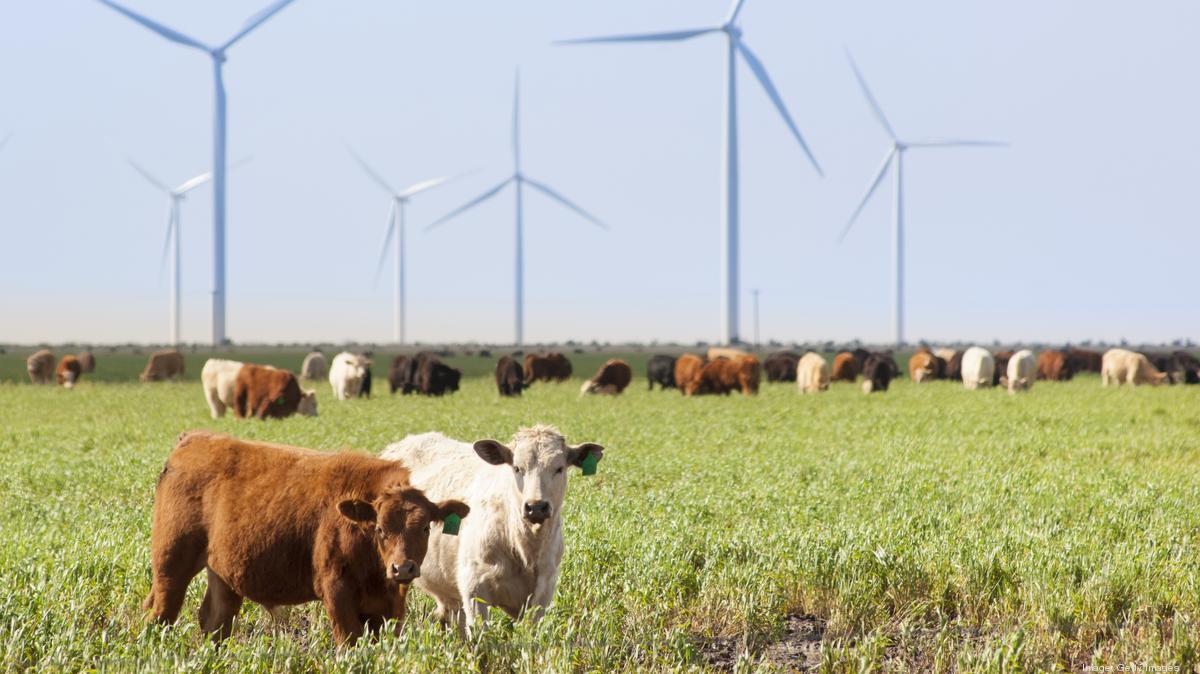 Portland’s Triple Oak sells Texas wind farm that will power Meta ...