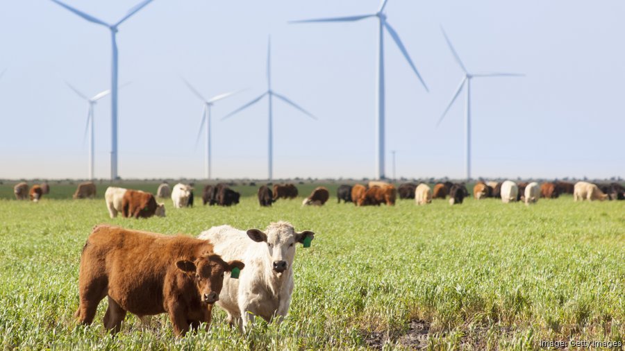 Portland’s Triple Oak sells Texas wind farm that will power Meta ...