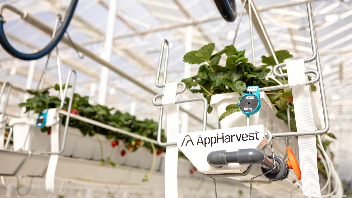 KY Inno - AppHarvest opens third high-tech indoor farm