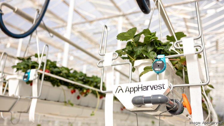 Why did AppHarvest file for bankruptcy? A timeline of events ...