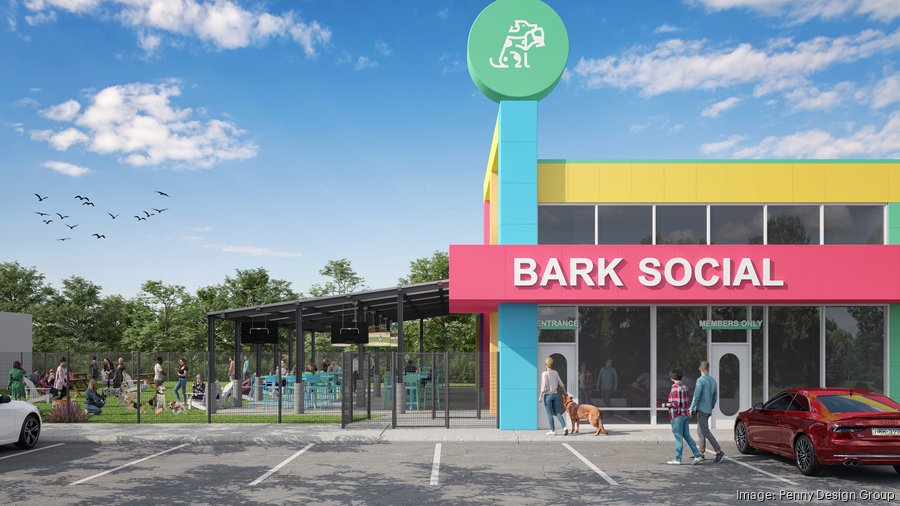 Here's a first look at Bark Social, the new social dog bar coming to ...