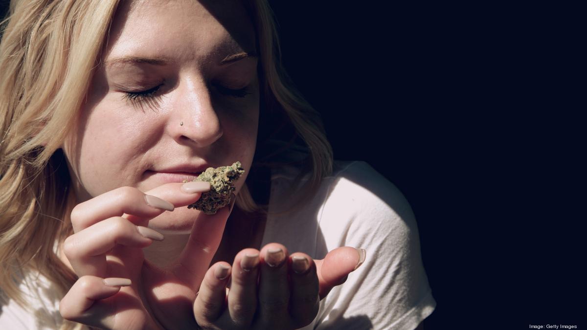 Cannabis study shows high THC doesn't equal a good high - Portland ...