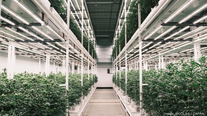 Why medical marijuana firm Jushi is doubling down on Northern Virginia ...