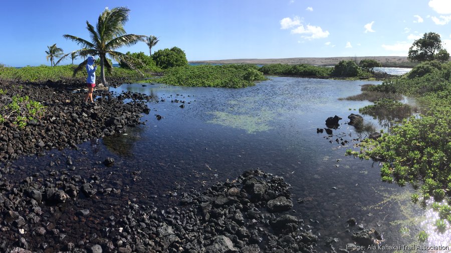 Trust for Public Land transfers 1,838 acres on Hawaii Island to ...