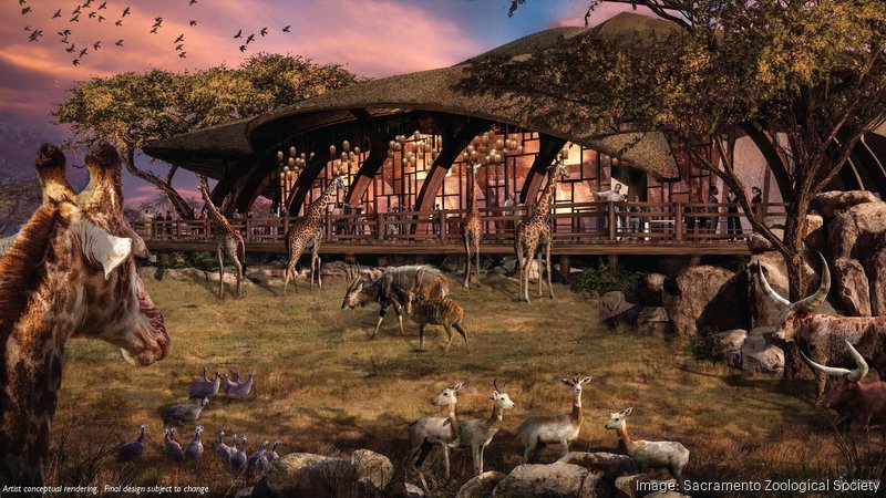 Elk Grove zoo concept art - Bizwomen