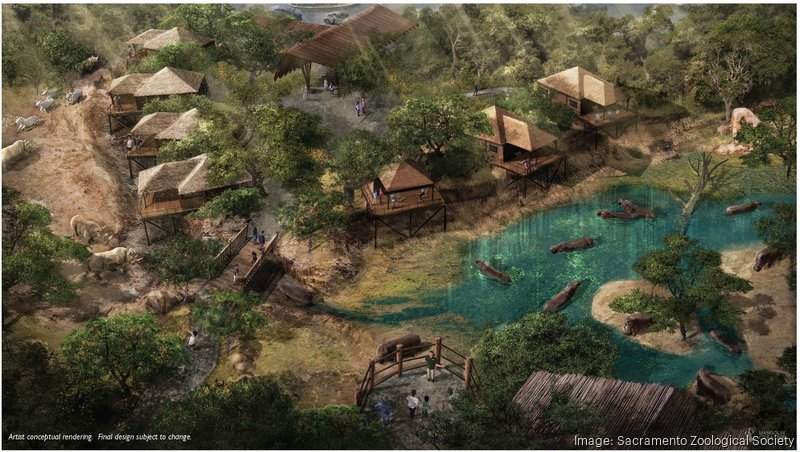 Elk Grove zoo concept art - Bizwomen