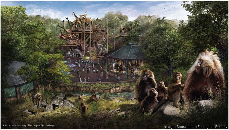 Elk Grove zoo concept art - Bizwomen