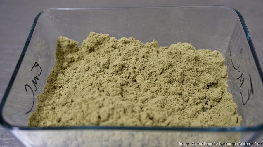 See Inside: Here's how a cannabis plant grows at the Verdes Foundation ...