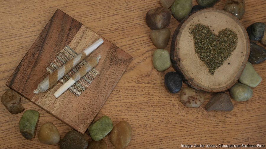 See Inside: Here's how a cannabis plant grows at the Verdes Foundation ...