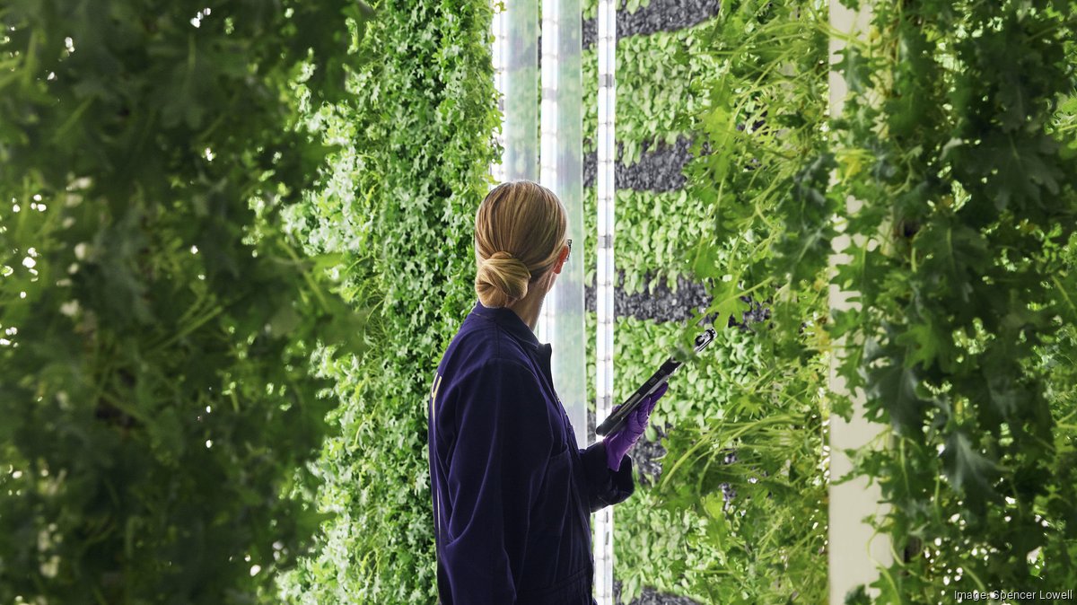 Vertical farm startup Plenty moves R&D operations out of California ...
