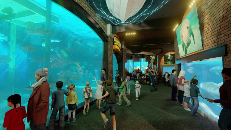 ZooTampa unveils plan for $125 million renovation with new exhibits ...