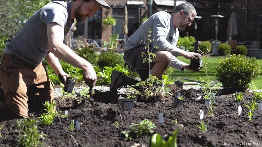 Serial entrepreneur David Levine starts My Home Park to help wild bees ...