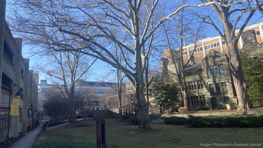 PCOM CEO Jay Feldstein on why it chose to buy stake in Chestnut Hill ...