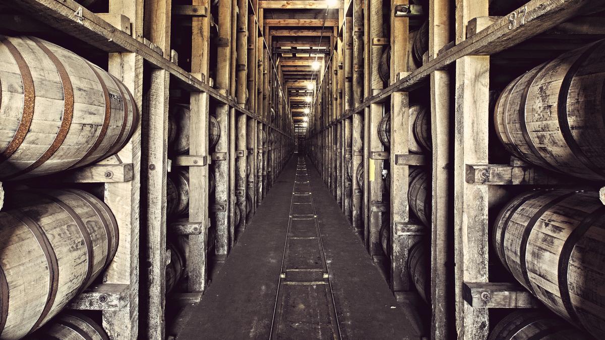 Spirits are high: Unprecedented momentum fuels a record year for ...