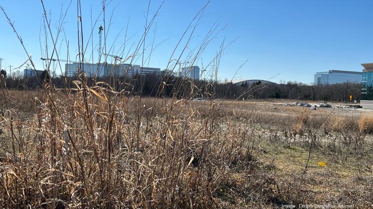 Petra Development is sole bidder for prime site in receivership in The ...