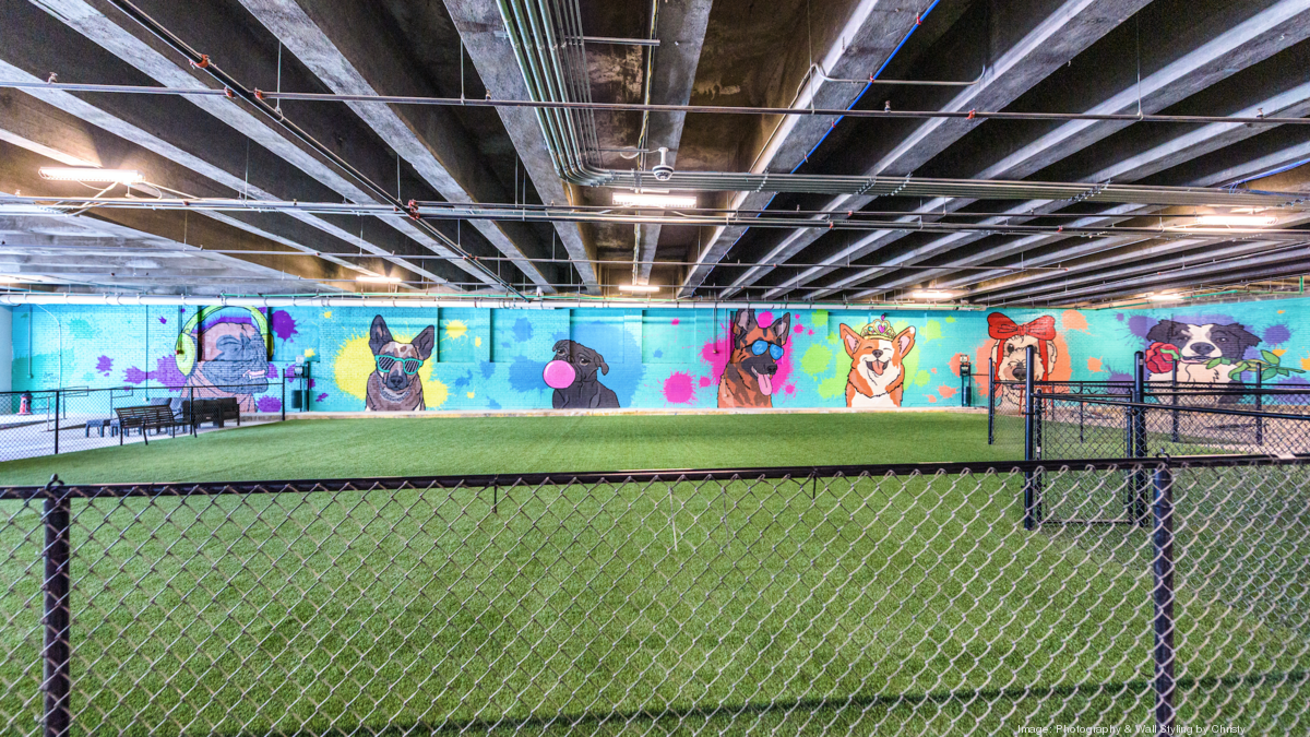 Historic multifamily conversion goes to the dogs under new ownership ...