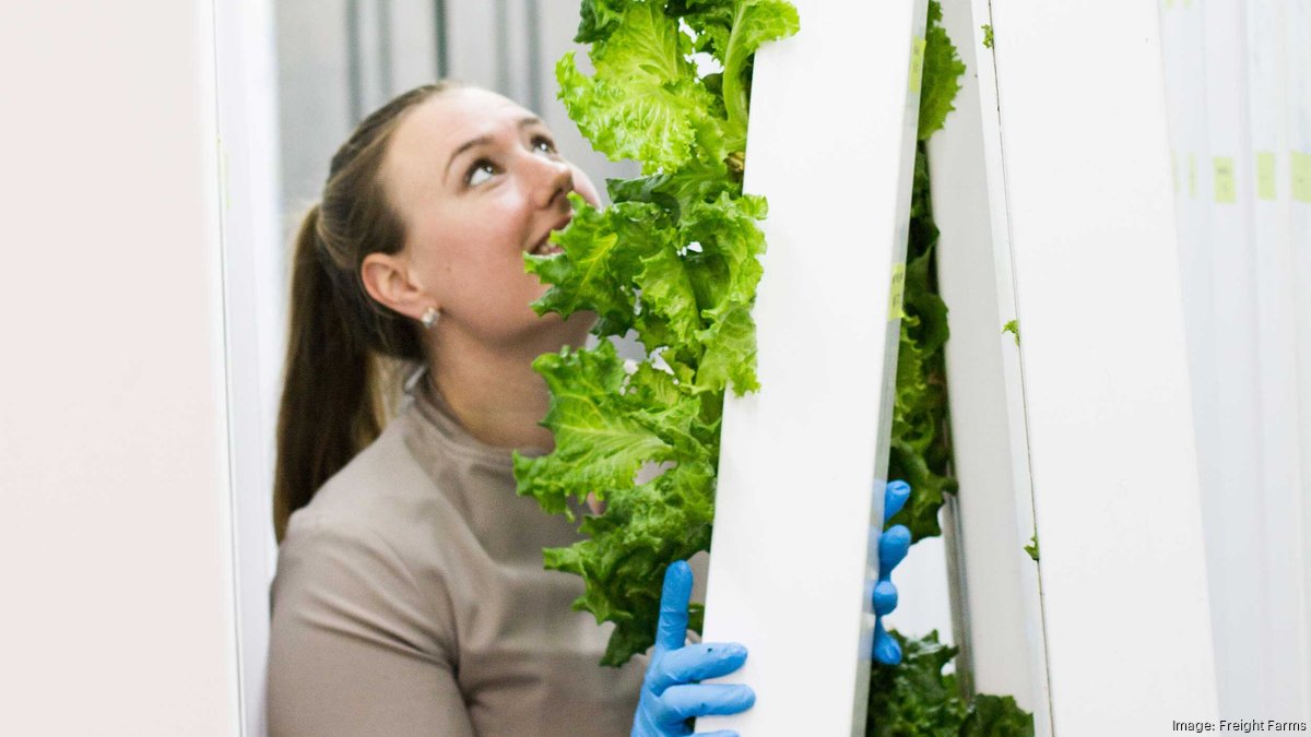 Freight Farms teaches Rhode Island students about using tech to grow ...