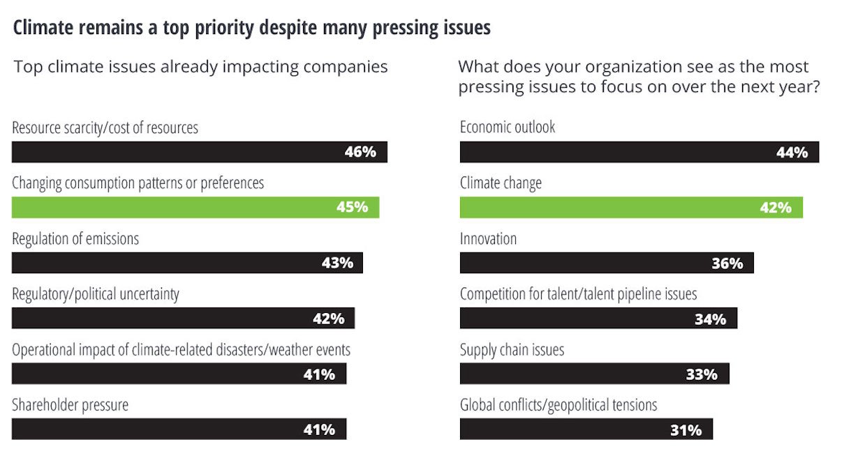 Deloitte’s survey of C-suite executives shows a focus on climate change ...
