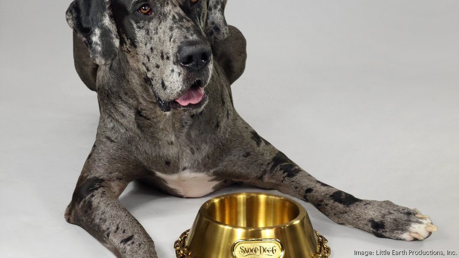 Little Earth Productions working with Snoop Dogg on new Snoop Doggie ...