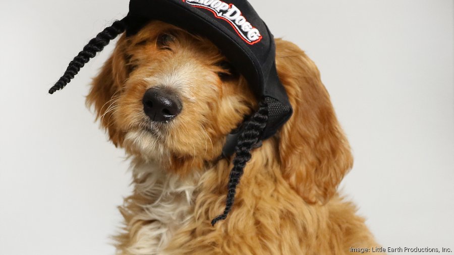 Little Earth Productions working with Snoop Dogg on new Snoop Doggie ...