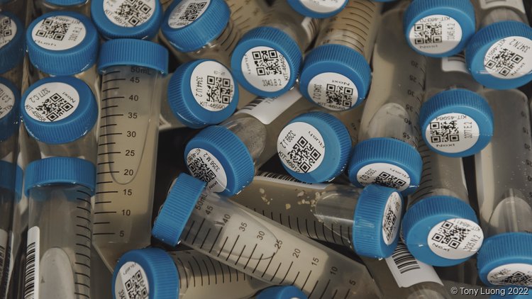 Wastewater monitoring propelled Biobot Analytics to national stage ...