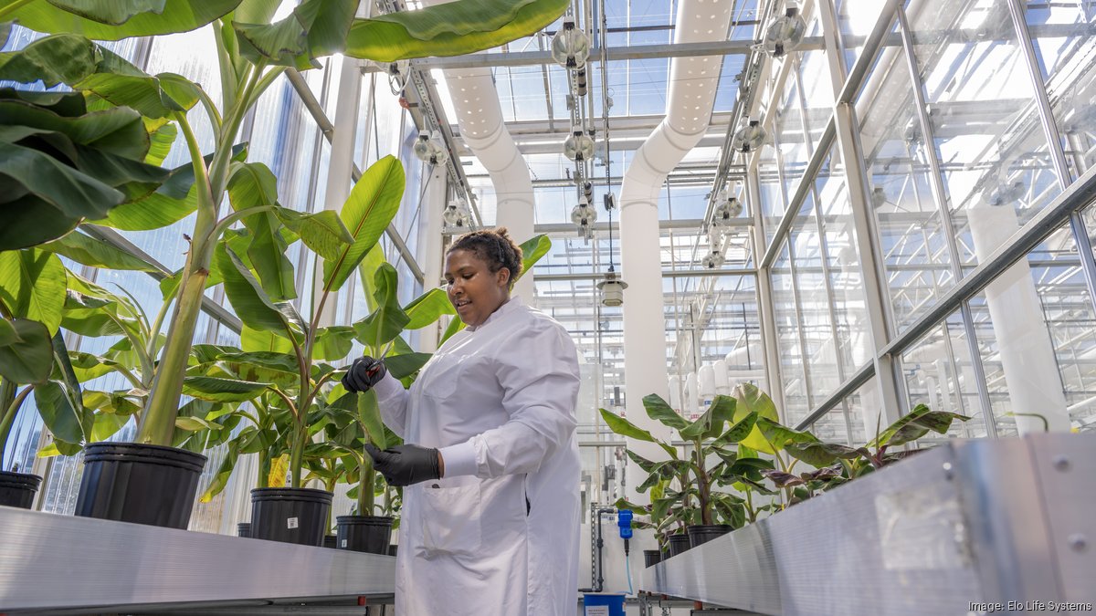 Elo Life Systems raises $20M to scale plant-based sweetener - Triangle ...