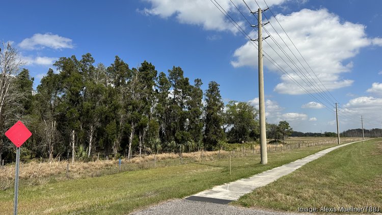 Orlando Health, Raymond James and Wiregrass Ranch - Tampa Bay Business ...