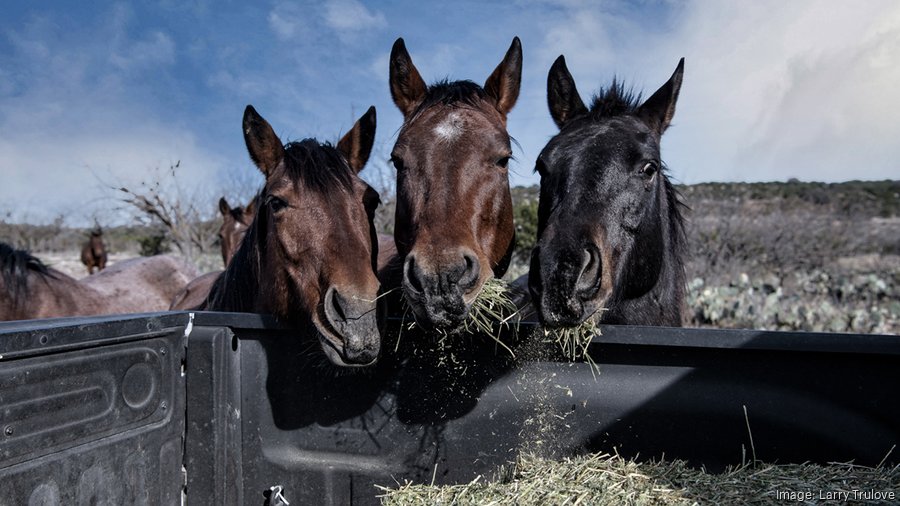 South Texas rancher profile: Epperson Ranch — Four generations of ...