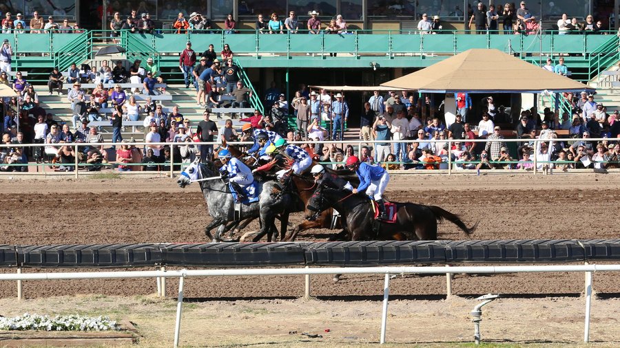 Owner of Turf Paradise says horse track will be open for another season ...