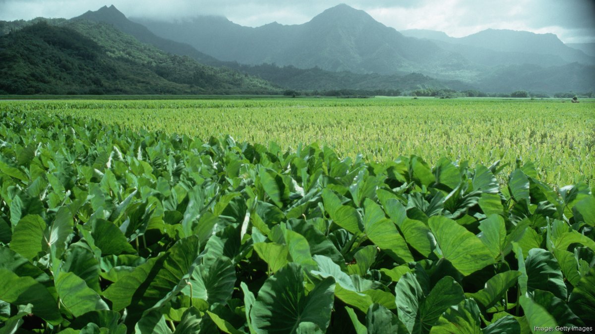 Hawaii Agricultural Foundation event to explore nutrition security ...