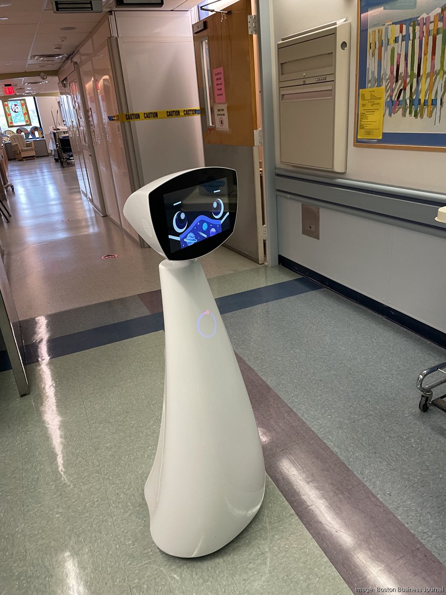 Robot Robin - Bizwomen