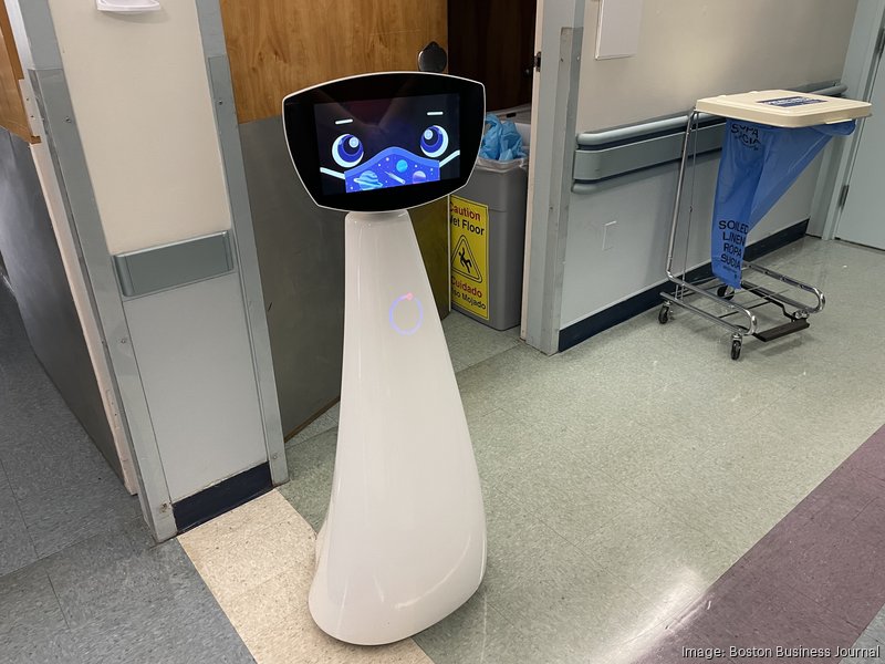 Robot Robin - Bizwomen