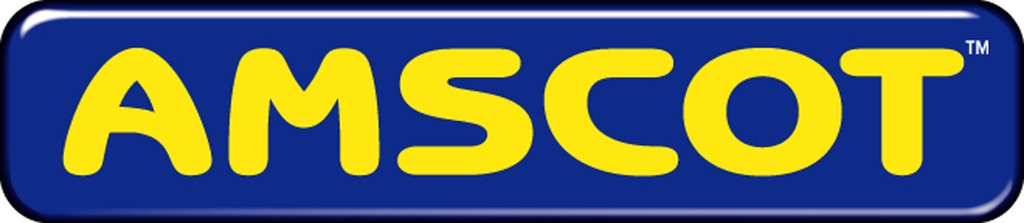 Amscot Financial BizSpotlight - Tampa Bay Business Journal