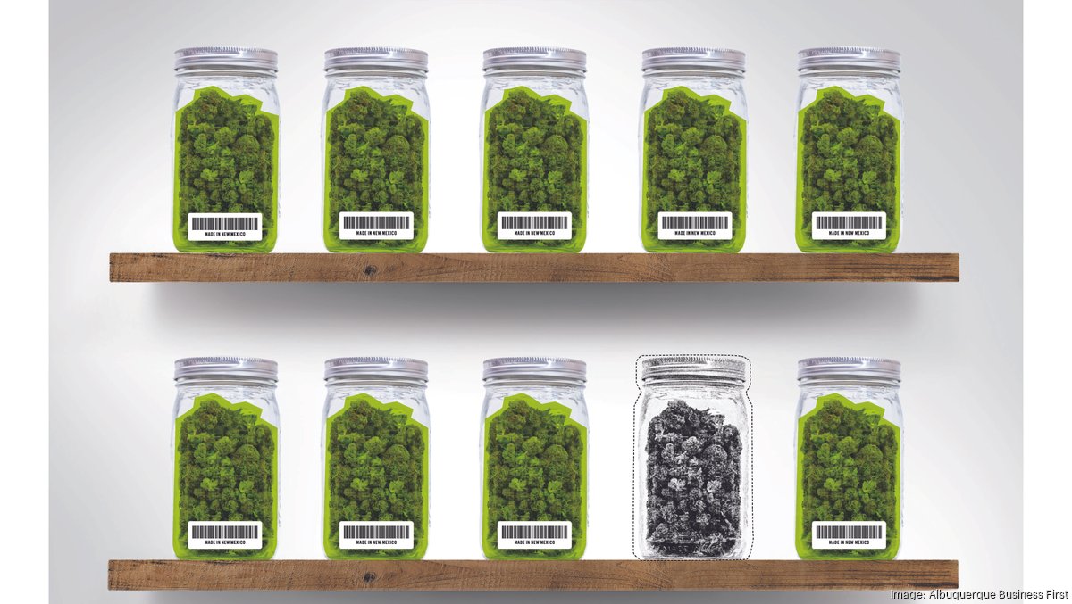 Albuquerque Business First wins awards at annual SPJ Top of the Rockies ...