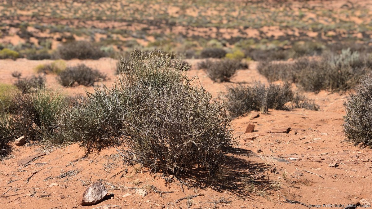 Mark Vittert's Reflections: A 'valuable' square inch from a cereal box ...