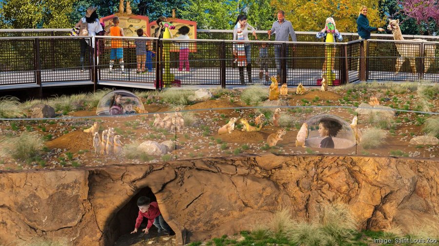 Saint Louis Zoo plans $40M 'Destination Discovery' exhibit at former ...