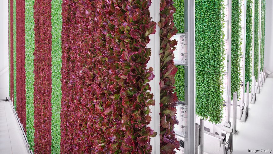 Vertical farm company Plenty opens in Compton - L.A. Business First