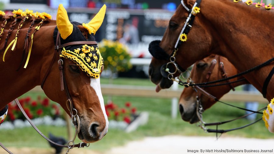 Scenes from Black-Eyed Susan Day 2023 in Baltimore - Baltimore Business ...