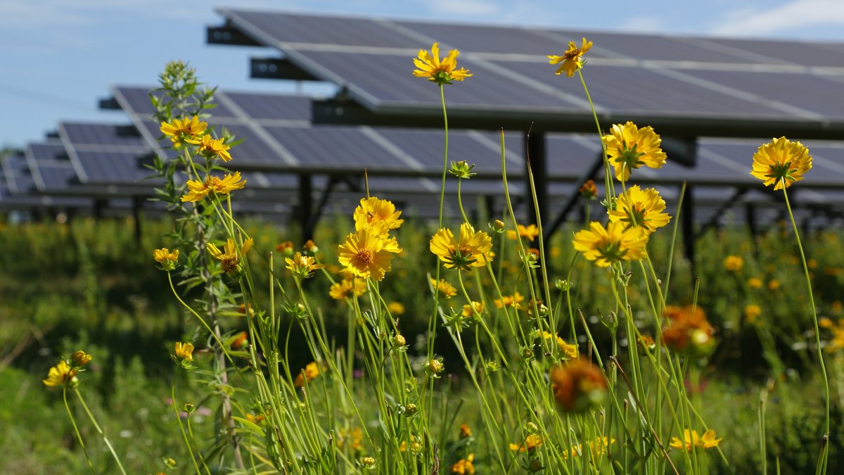 Utilities’ renewable energy partnerships add more solar energy to the ...