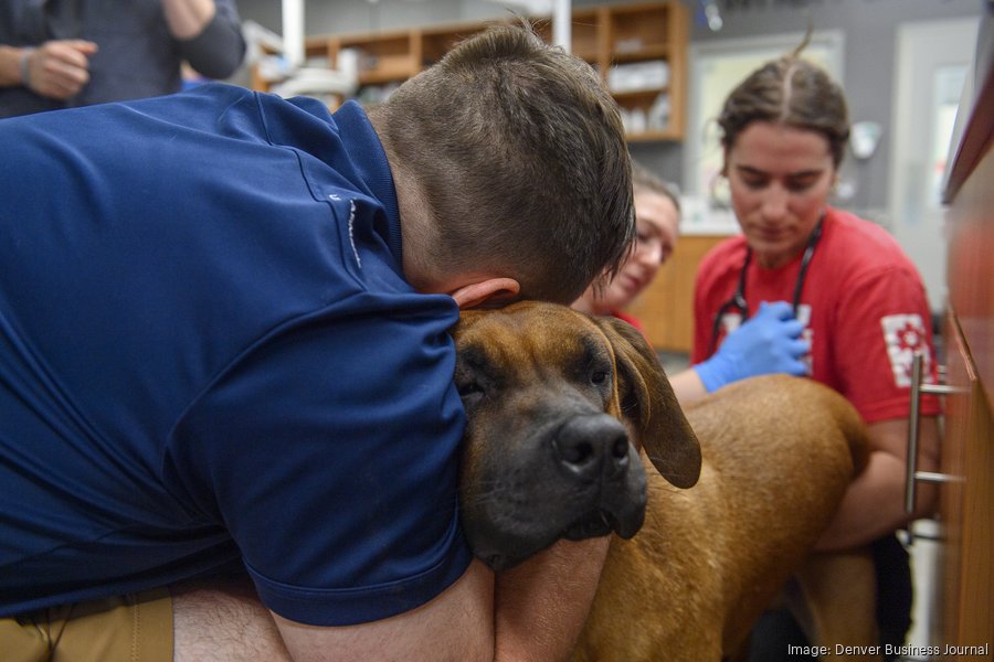 New Denver-area vet clinics underscore a changing industry – Utah ...