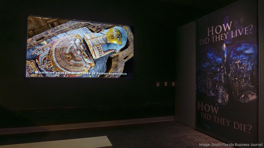 Mummies of the World: The Exhibition is now at the Phillip and Patricia ...