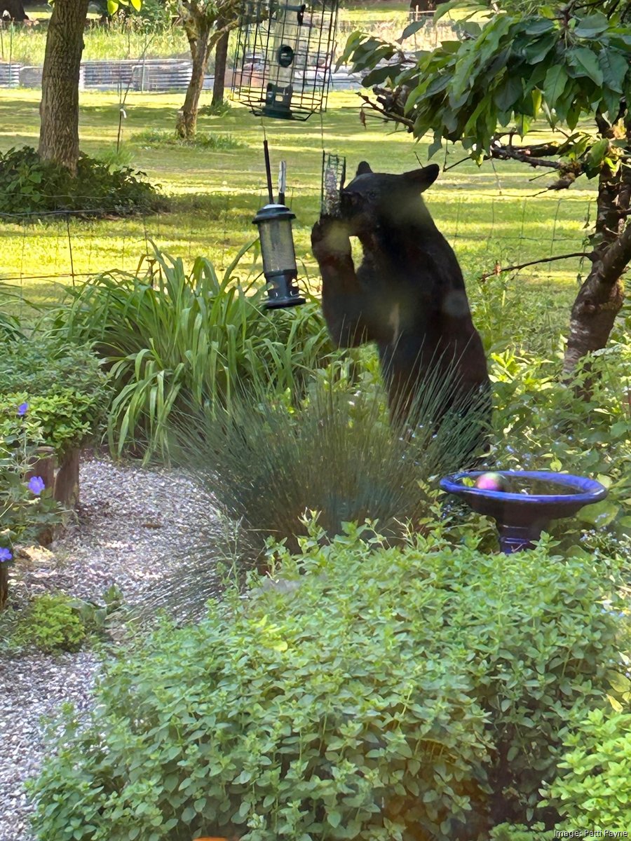 5th Avenue Theatre gala pays tribute to Bernie Griffin - Puget Sound ...