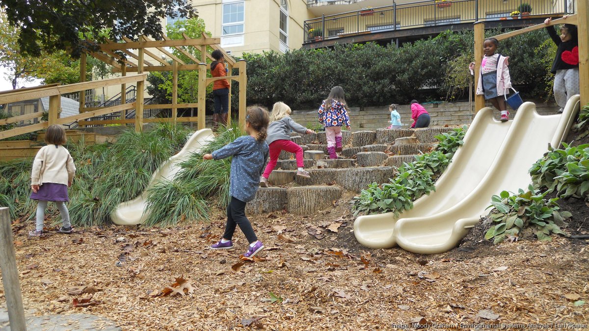 D.C.-area landscape pros design and build unique play features ...