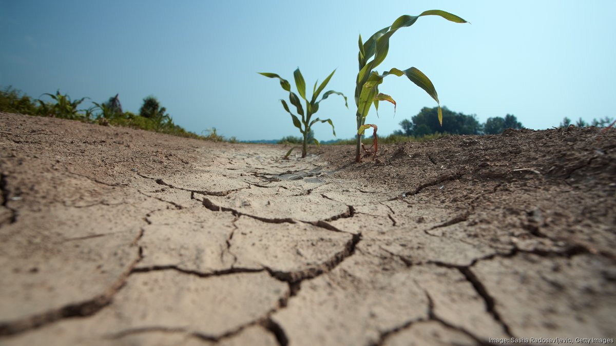 Drought hits the Midwest, threatening crops and the world’s food supply ...