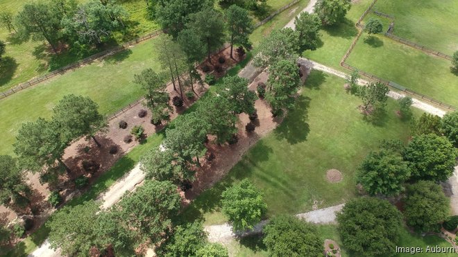 Pat Dye's homestead donated to Auburn - Birmingham Business Journal