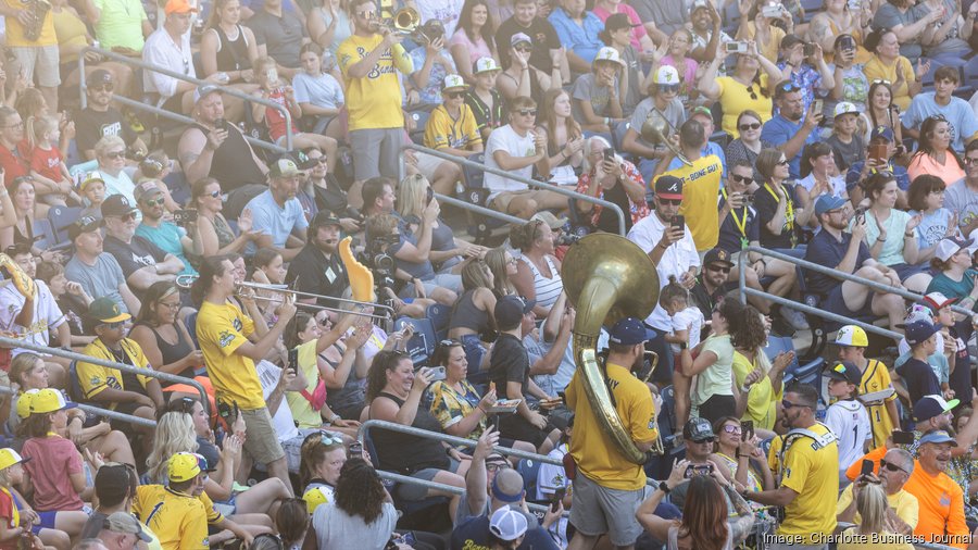 Savannah Bananas to play at NFL stadium in Charlotte - Charlotte ...